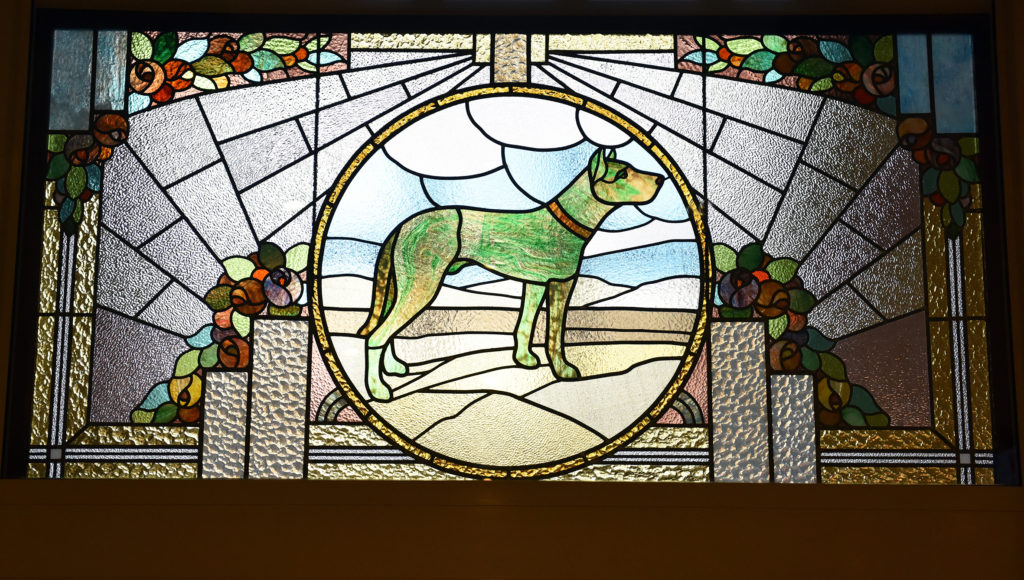 Chien vert - Arrêt - Parc du Cinquantenaire - Woluwe Saint Pierre